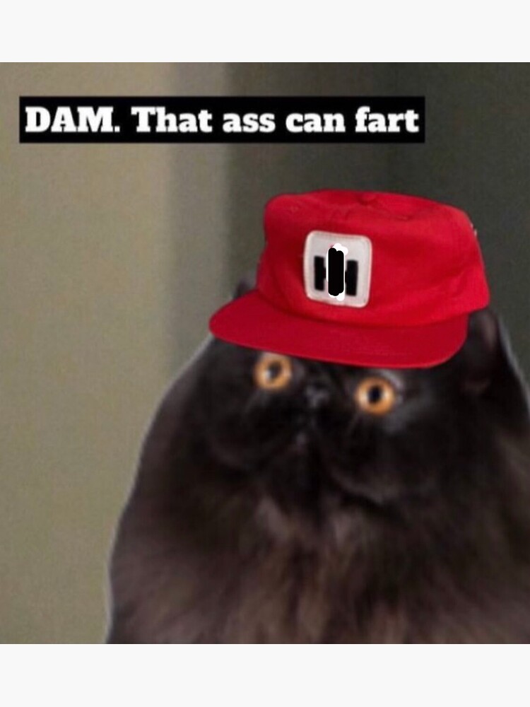 "Dam." Sticker for Sale by Catwithhardhat | Redbubble
