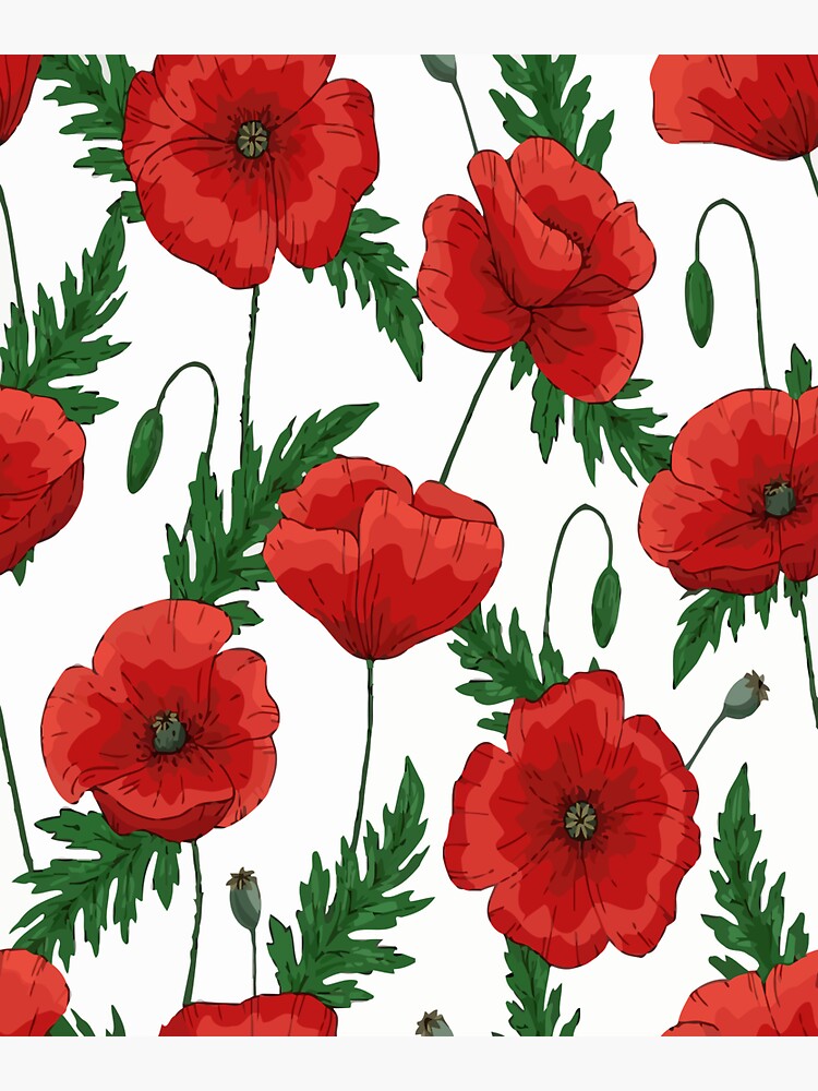 "Saemless pattern with red poppy flowers. papaver. green stems and ...