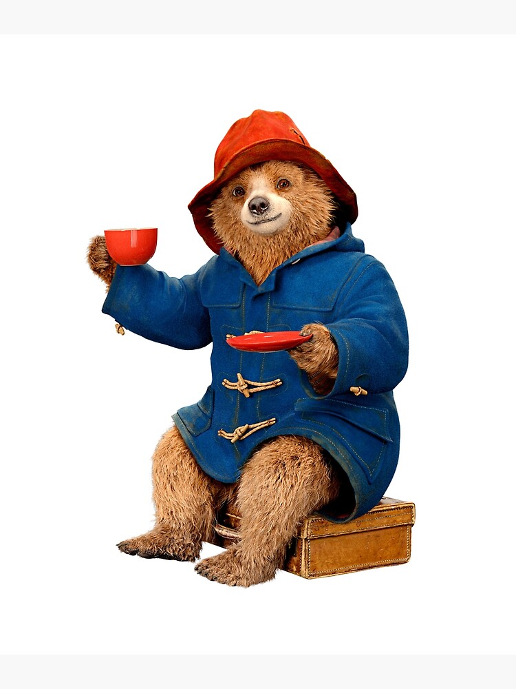 "paddington bear paddington bear paddington bear paddington bear ...