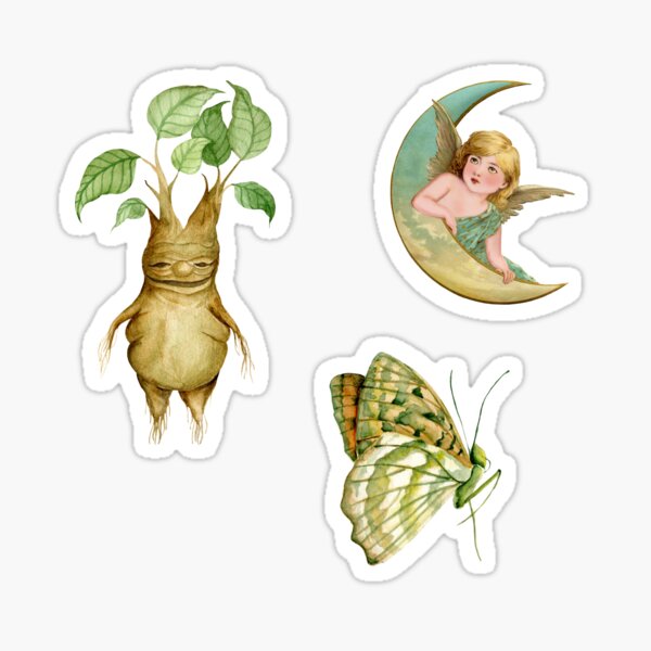 "Forestcore Pack" Sticker for Sale by darkacademic | Redbubble