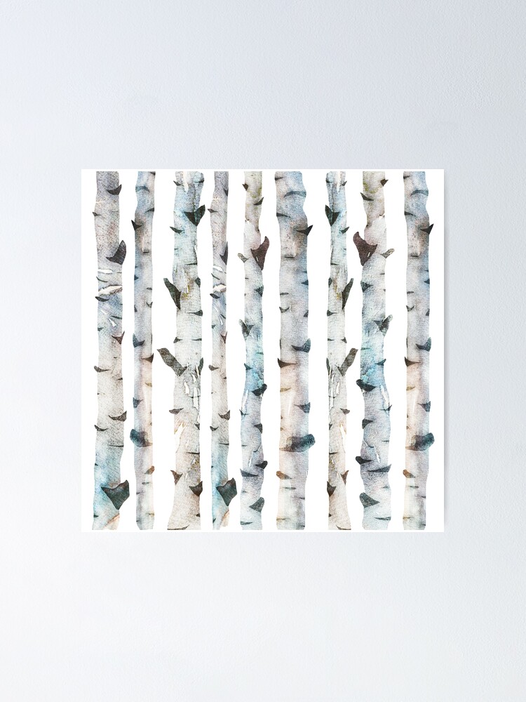 "Birch trees" Poster by rodrigomff23 | Redbubble