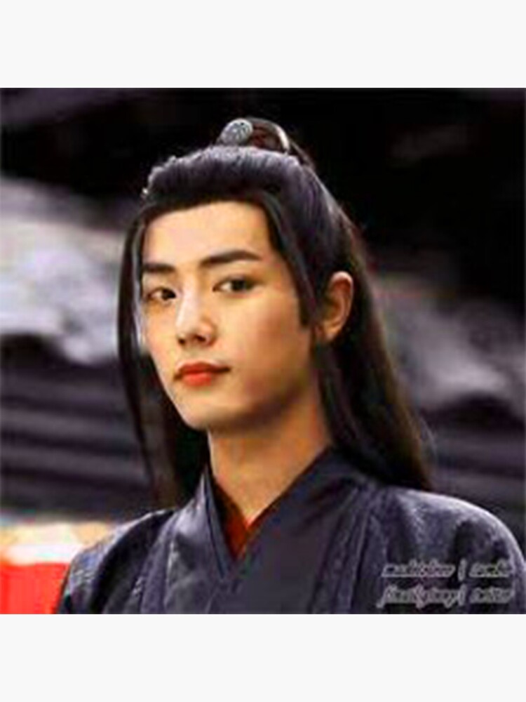 "The Untamed Man Hua TGCF" Sticker for Sale by Pedrocblass | Redbubble