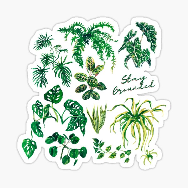 "Stay Grounded" Sticker for Sale by Lavender2022 | Redbubble