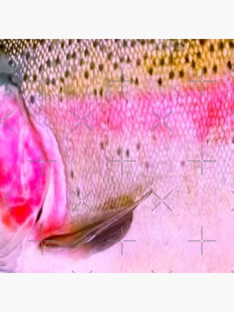 "Vibrant Rainbow Trout Skin Pattern" Sticker for Sale by CJRPics ...