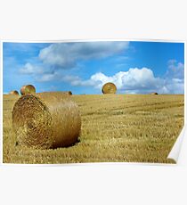 Hay Fever Posters | Redbubble