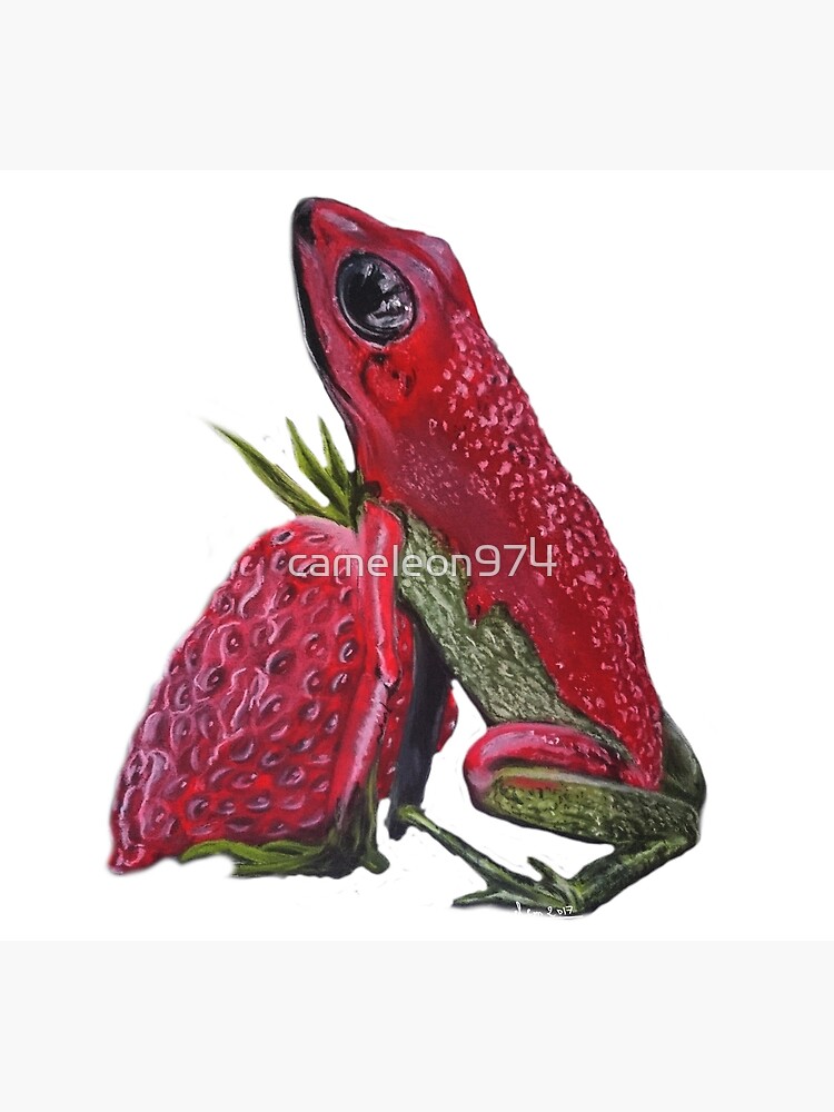 "strawberry frog" Art Print by cameleon974 | Redbubble