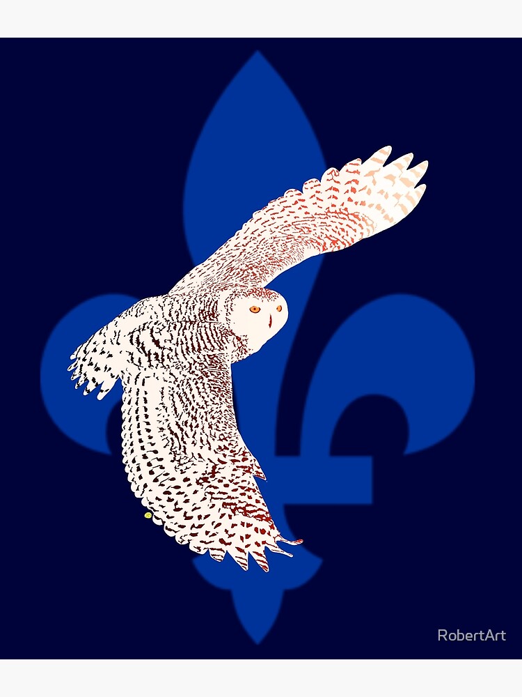 Poster « Harfang des neiges, symbole du Quebec », par RobertArt | Redbubble