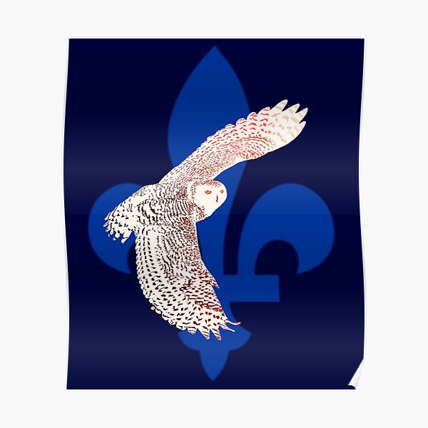 Poster « Harfang des neiges, symbole du Quebec », par RobertArt | Redbubble