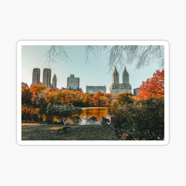 "New York City Autumn Fall in Central Park" Sticker for Sale by ...