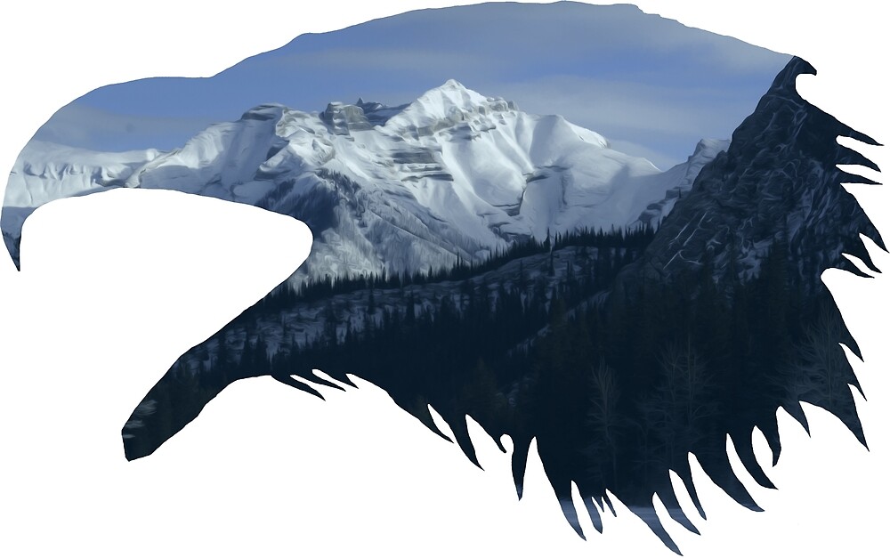 "Rockies - Banff Bald Eagle Silhouette" by middayimages | Redbubble