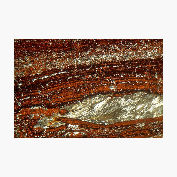 "Thin section of iron ore under the microscope" Photographic Print for ...