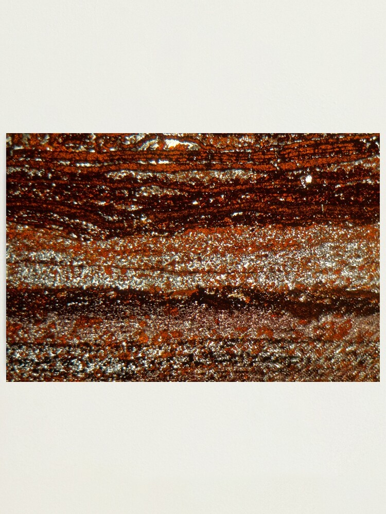 "Thin section of iron ore under the microscope" Photographic Print by ...