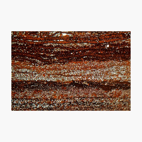 "Thin section of iron ore under the microscope" Photographic Print by ...