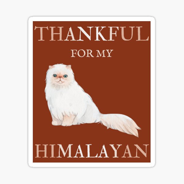 "Thankful for my Himalayan cat watercolor design." Sticker for Sale by ...