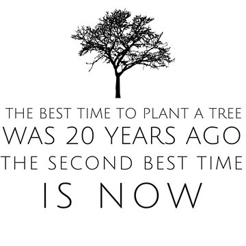 "The best time to plant a tree was 20 years ago. The second best time ...
