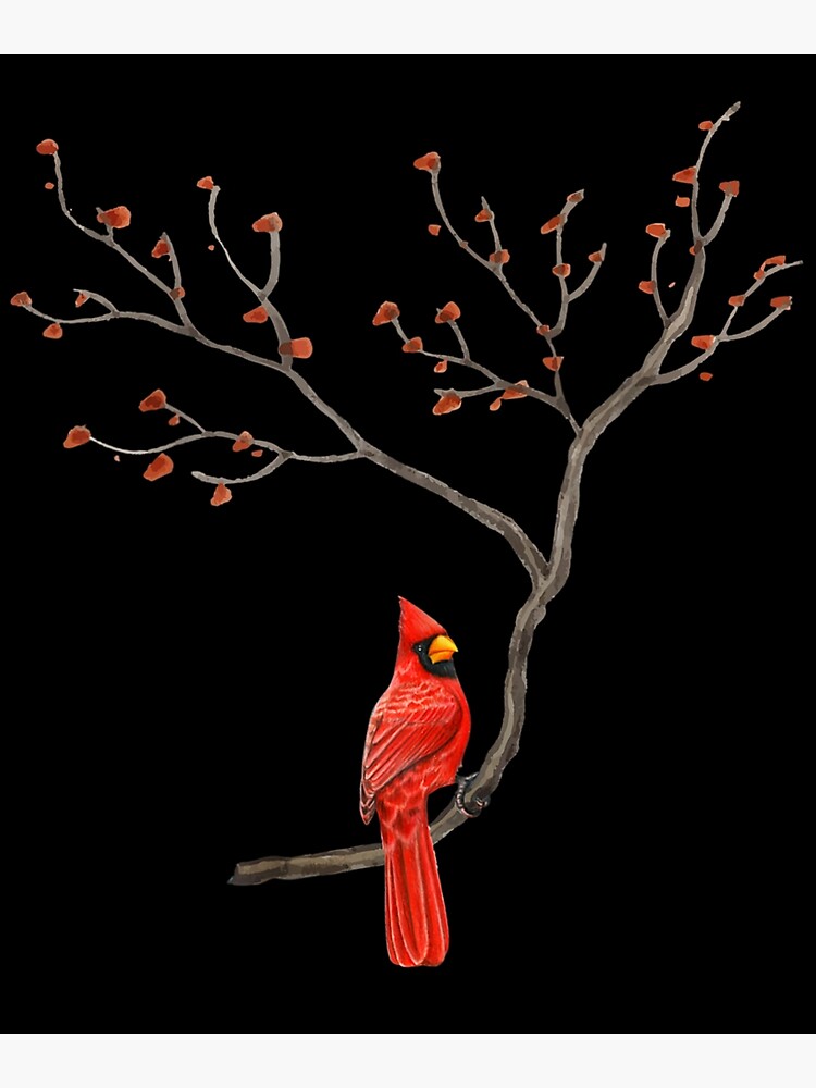 "Vintage Cardinal Birds" Poster for Sale by karimkar | Redbubble