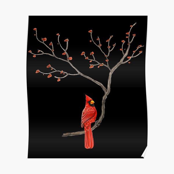 "Vintage Cardinal Birds" Poster for Sale by karimkar | Redbubble