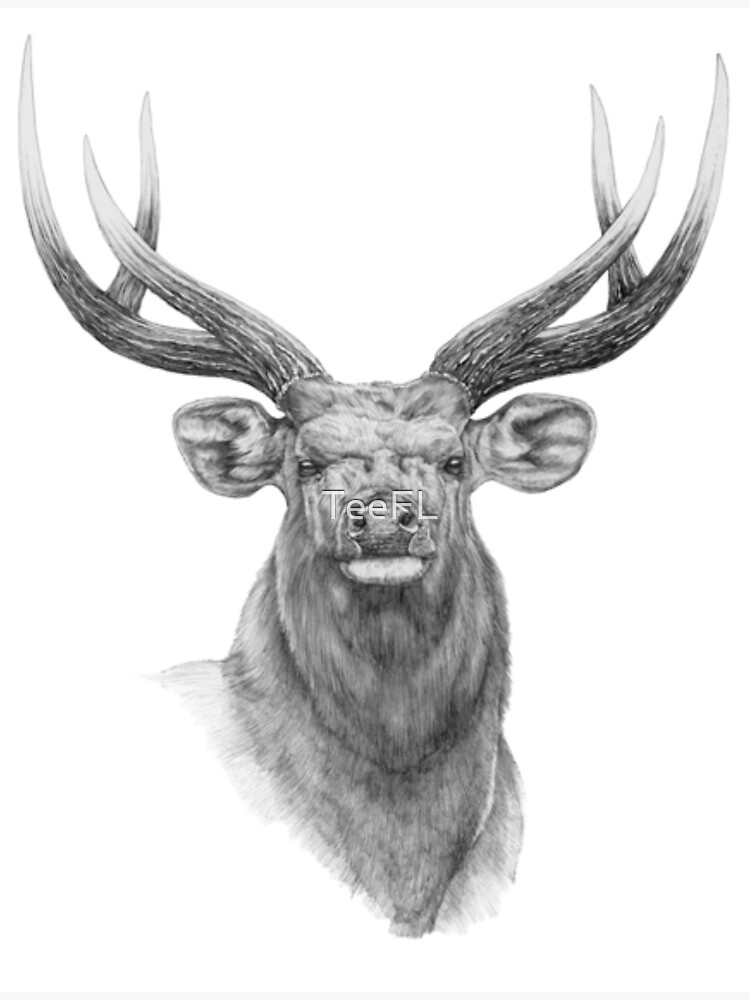 "Sambar Stag Drawing" Poster for Sale by TeeFL | Redbubble