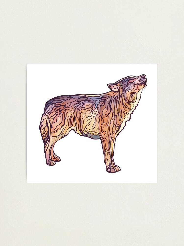 Impression photo « Loup hurlant au trait bouclé dessinant des couleurs ...