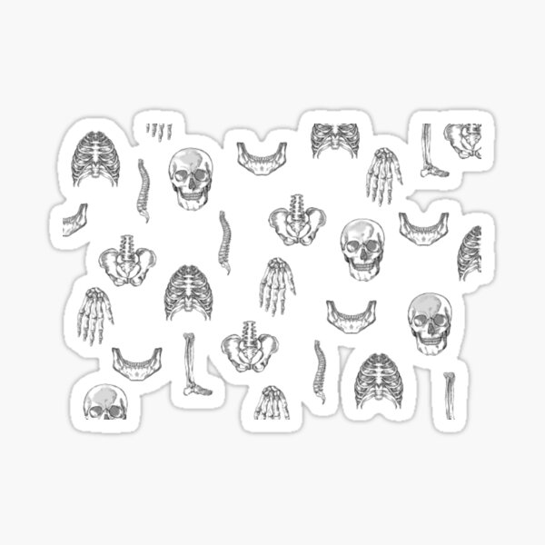 "Angry bones" Sticker for Sale by angrybones | Redbubble