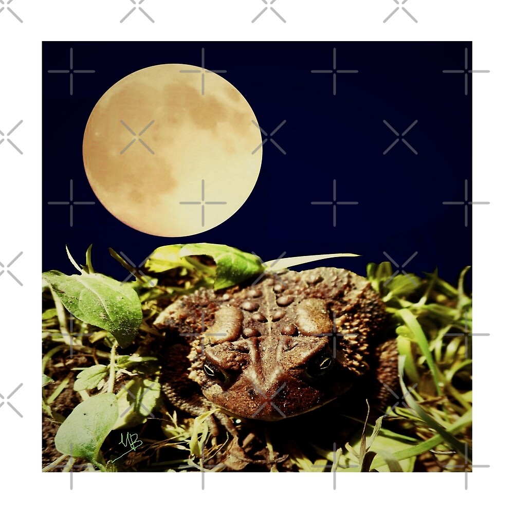 "The Toad's Moon" by Mzzart | Redbubble