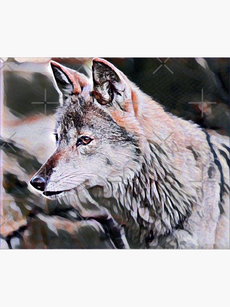 "Grey wolf" Sticker for Sale by MagiLand | Redbubble