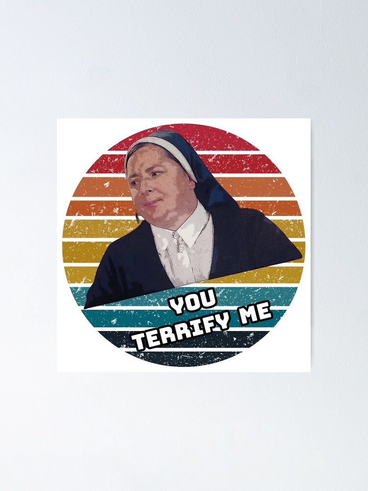 "sister michael derry girls judging you" Poster for Sale by vforvintage ...