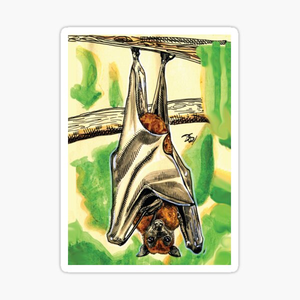 "Cute Hanging Fruit Bat" Sticker for Sale by DStathers-Art | Redbubble