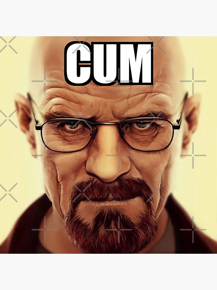 "Walter white, breaking bad meme" Sticker for Sale by RauL3 | Redbubble