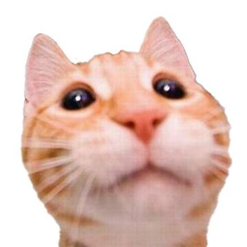 "Goofy Cat" Sticker for Sale by SurizonDesigns | Redbubble