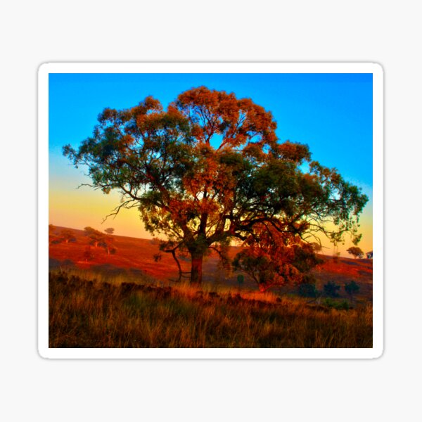 "The Colours of Dawn!" Sticker for Sale by Mickangelhere | Redbubble