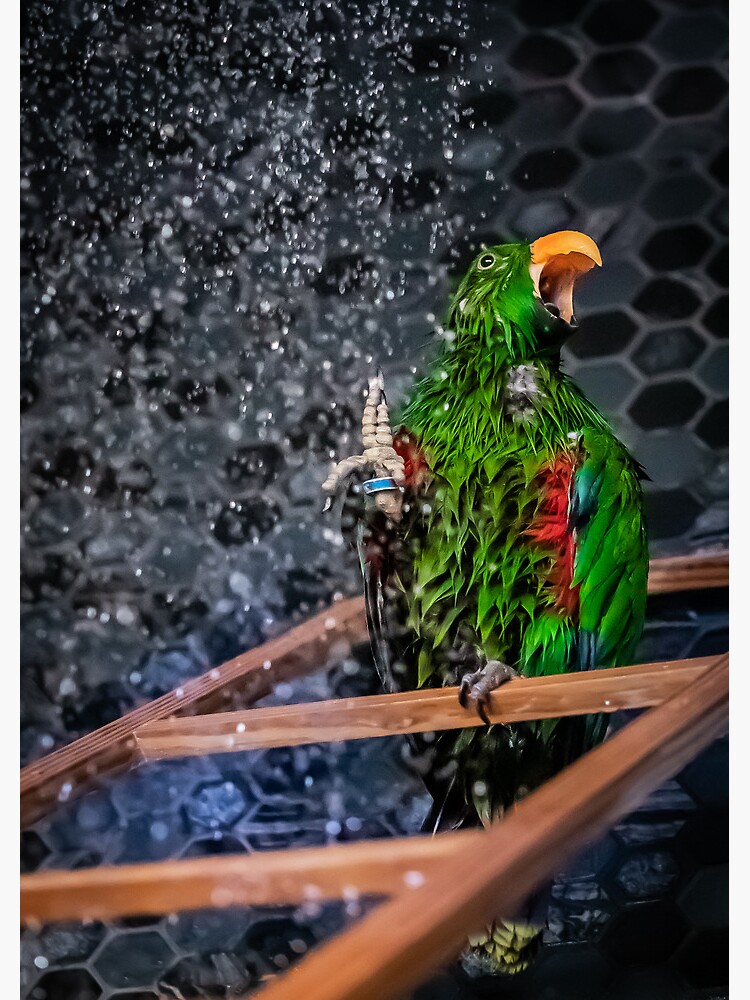 "EXCUSE ME I HAVE A QUESTION" Canvas Print for Sale by prettypastelpls ...