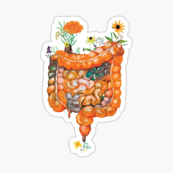 "Floral Intestine Painted GI Anatomy Art" Sticker for Sale by ...