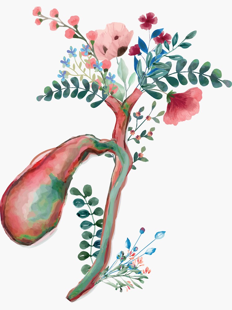 "Floral Anatomical Human Gallbladder Decor Design" Sticker for Sale by ...