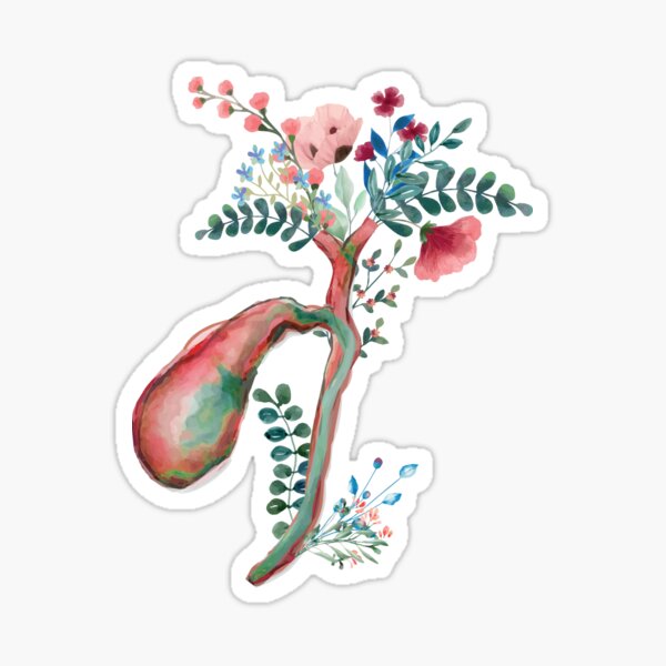 "Floral Anatomical Human Gallbladder Decor Design" Sticker for Sale by ...