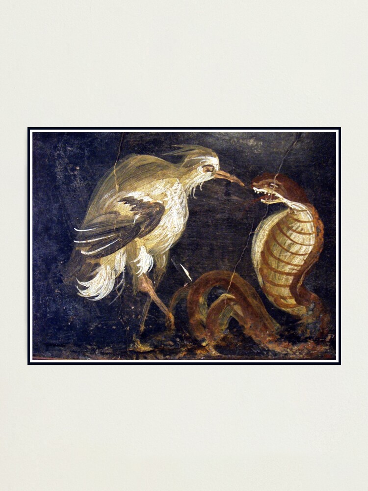 "Roman Fresco of Secretary Bird and Cobra" Photographic Print for Sale ...