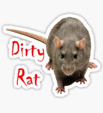 Dirty Rat: Stickers | Redbubble