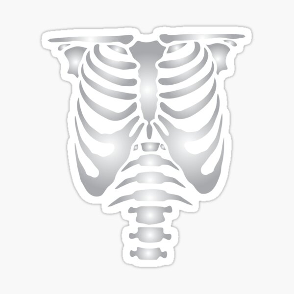 "Human skeleton bones torso" Sticker for Sale by photonxt | Redbubble