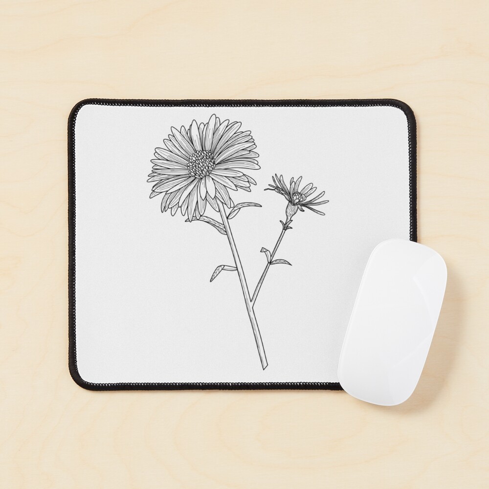 "Aster Flower Fine Line Drawing" Art Print for Sale by BluebellPainter ...