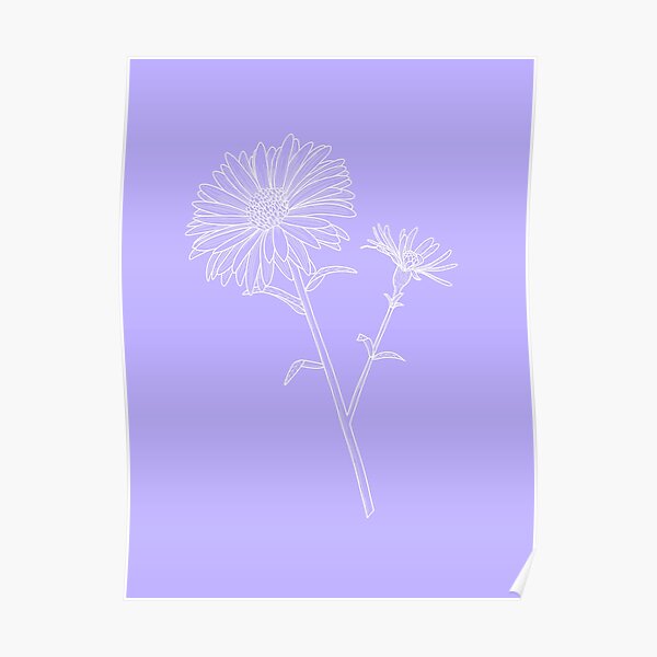 "Aster Flower Fine Line Drawing" Poster for Sale by BluebellPainter ...
