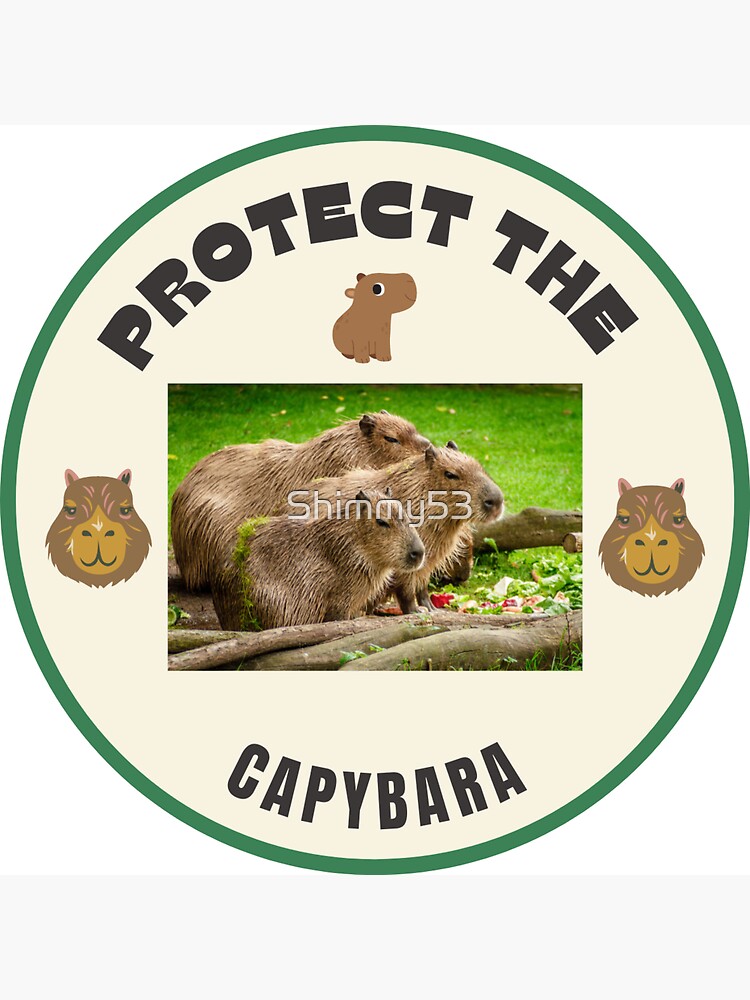 "protect the capybara" Sticker for Sale by Shimmy53 | Redbubble