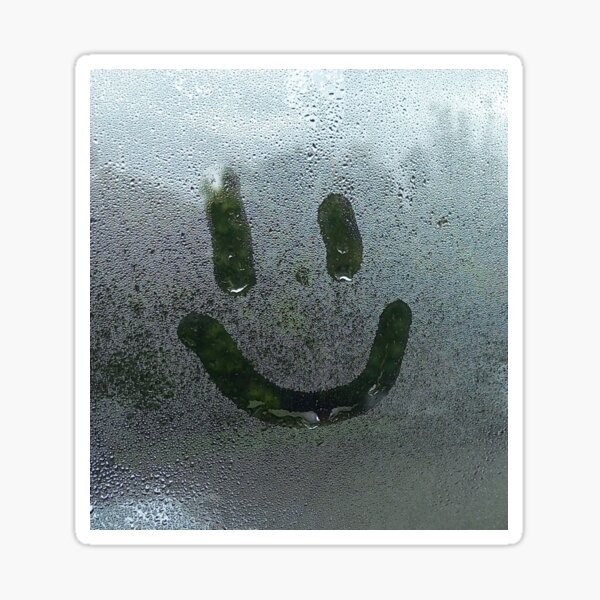 "Smiley face on mist" Sticker for Sale by intingveigar | Redbubble