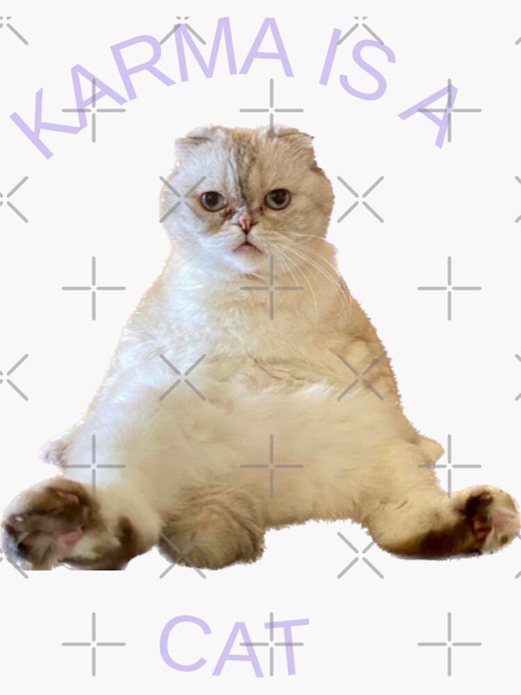 "Karma is a cat" Sticker for Sale by Coyoteartshoppe | Redbubble