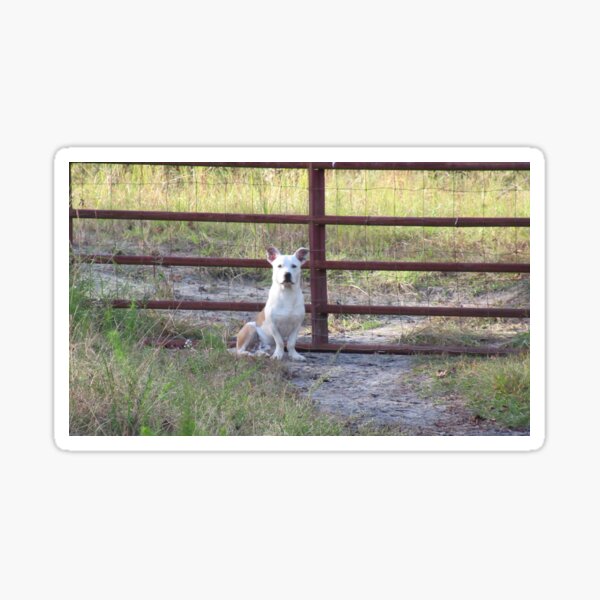 "guard dog" Sticker for Sale by TornMinds | Redbubble