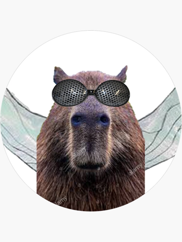 "Capybara Fly OK I pull up Funny Meme " Sticker for Sale by ...