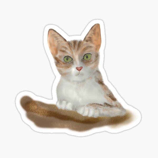 "curious cat" Sticker for Sale by Windradkind | Redbubble