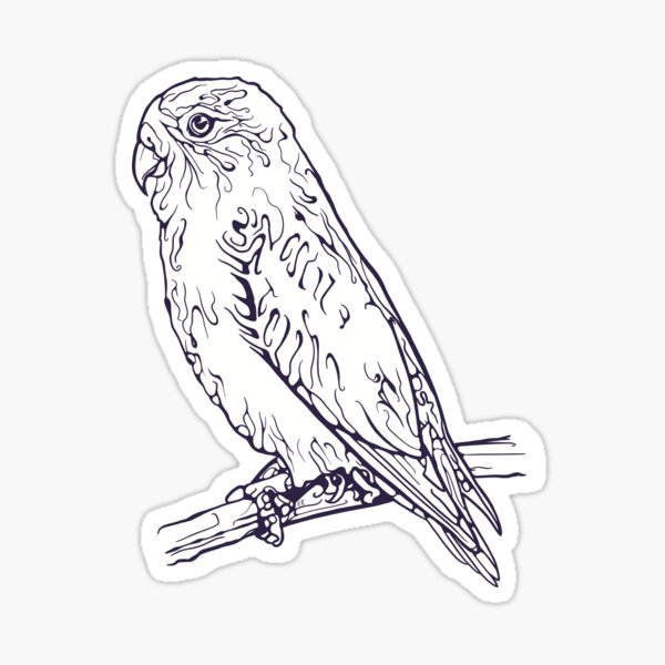 "Parakeet curly line drawing" Sticker for Sale by maywinterfox | Redbubble