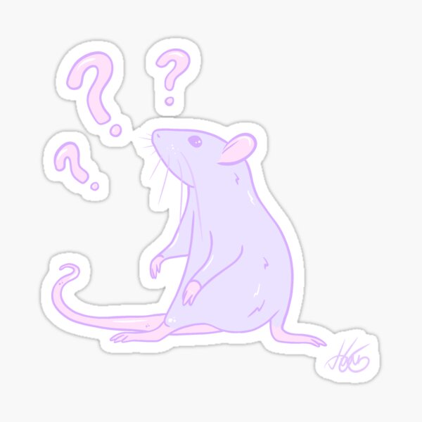 "Confused Rat" Sticker for Sale by Spoopzilla | Redbubble