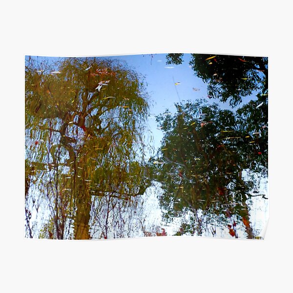 "Reflected Trees, Floating Leaves " Poster for Sale by lightworks | Redbubble