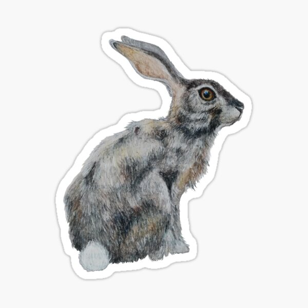 "Hare" Sticker for Sale by alexandradawe | Redbubble
